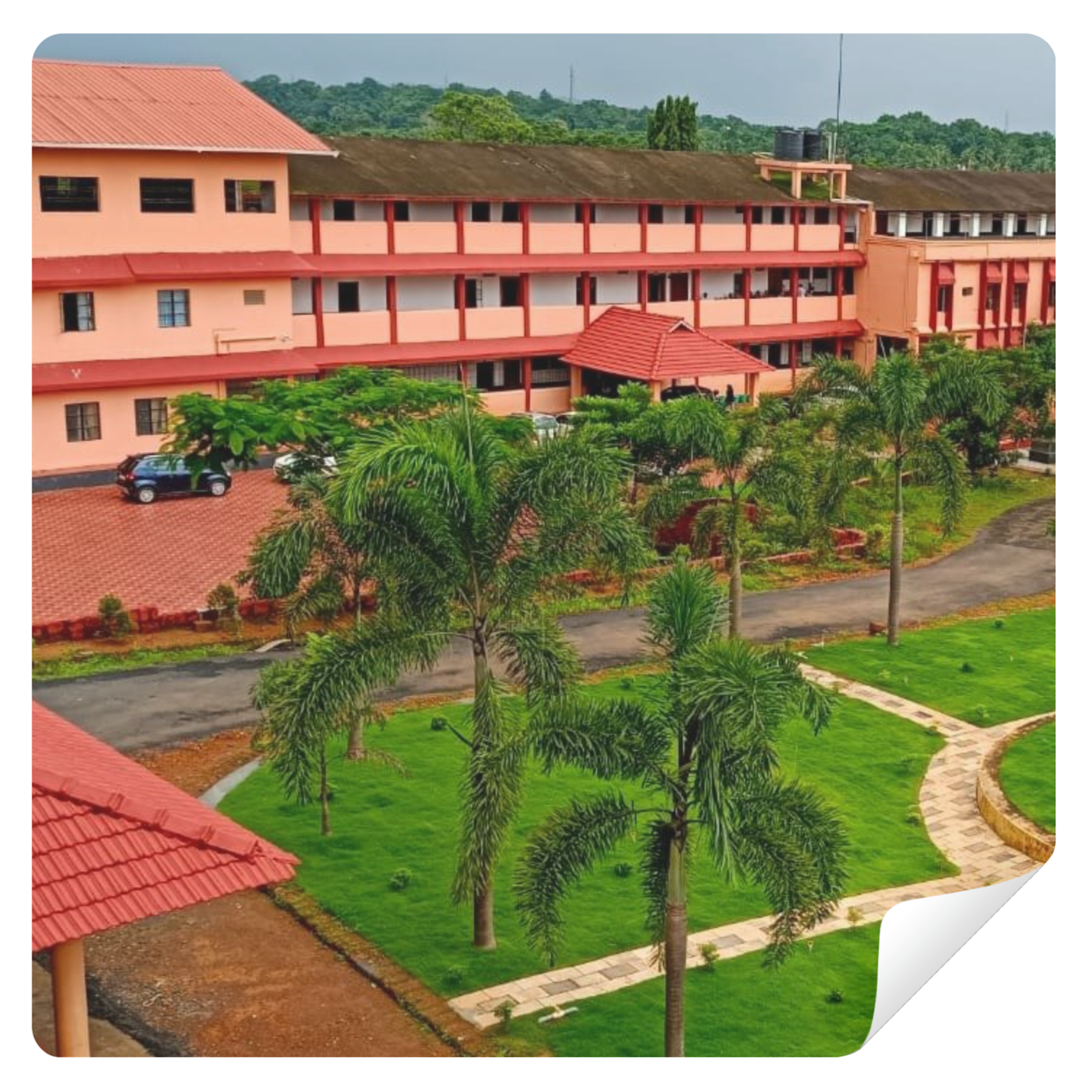 MG COLLEGE